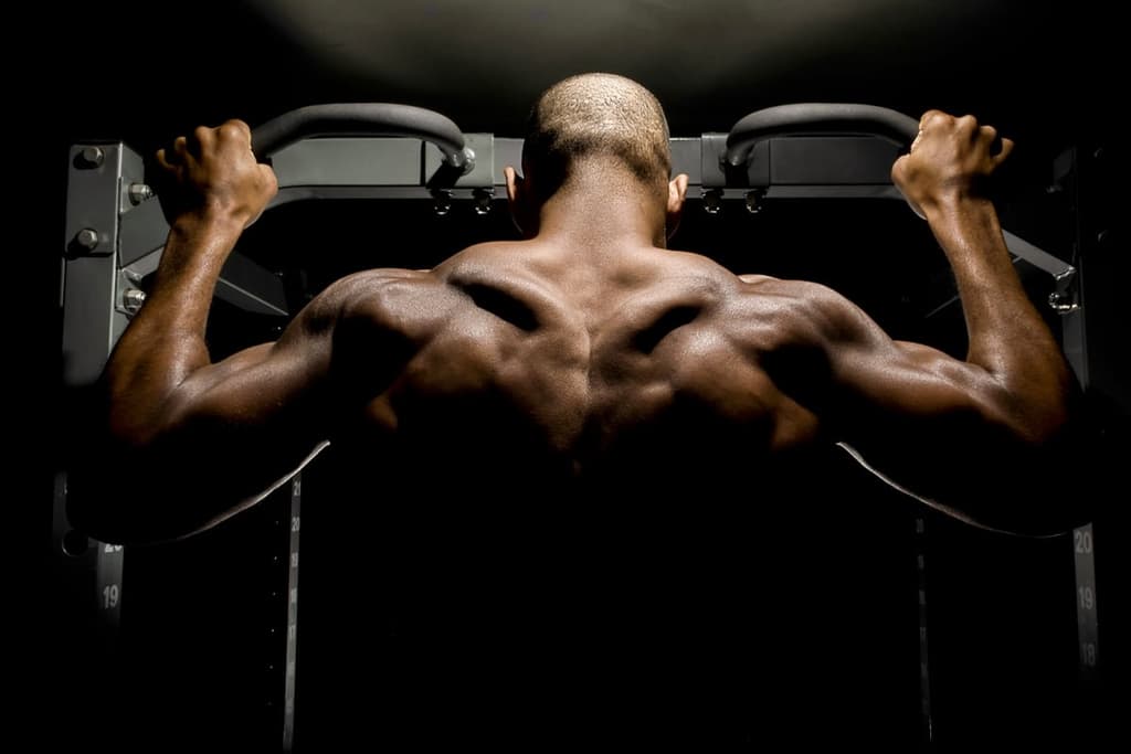 12 Best Pull Up Bars for Home | Man of Many