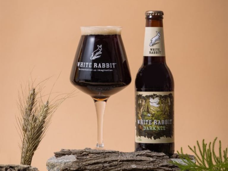 Most Popular Types of Beer Explained: A Complete Guide | Man of Many