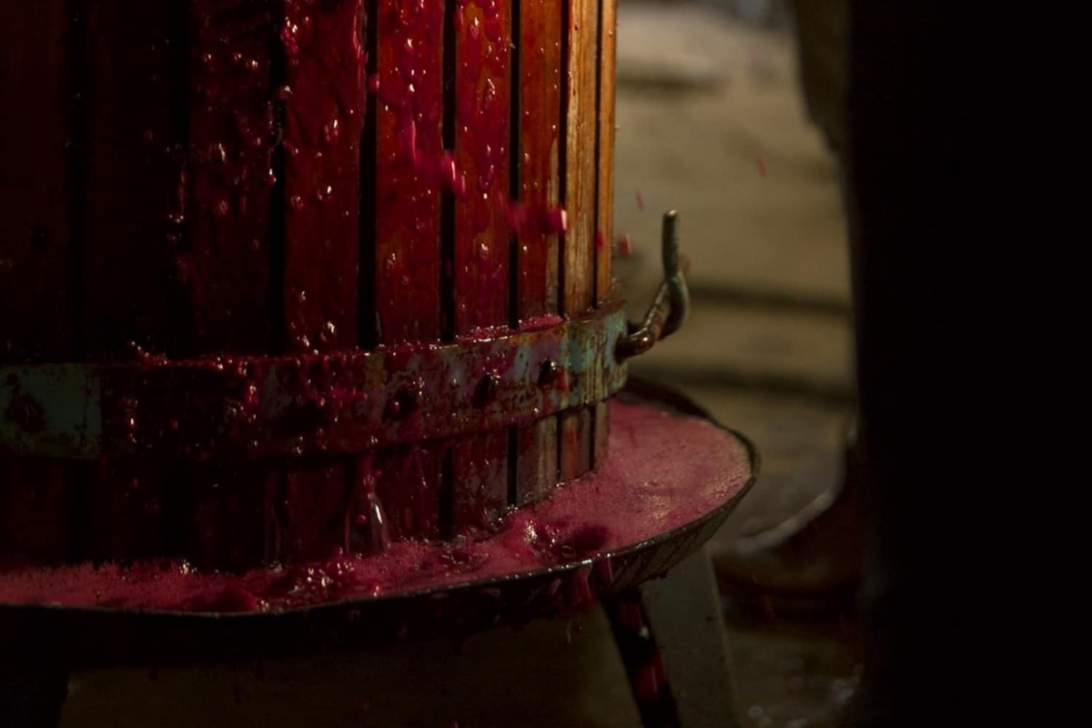 Why Jacob's Creek Double Barrel Wines are so Delicious | Man of Many