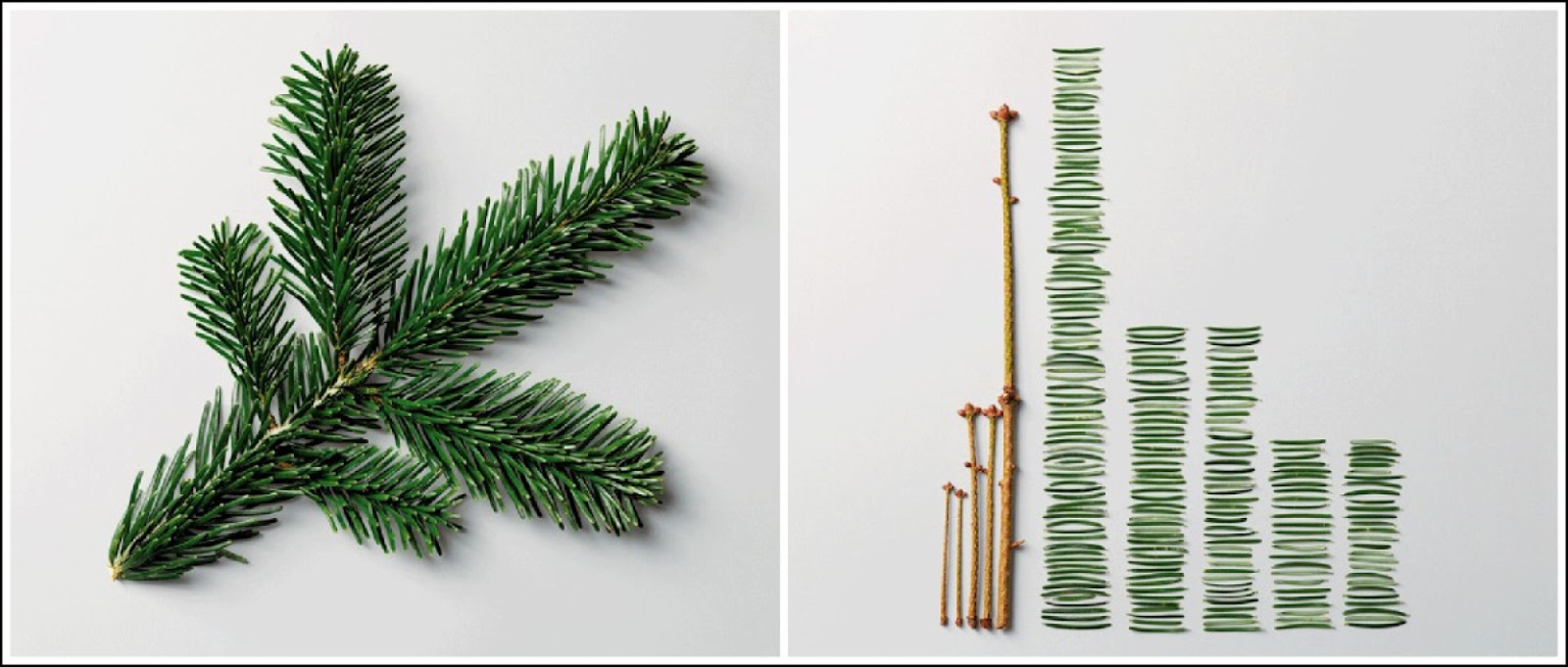 50+ Knolling Photography Examples | Man of Many