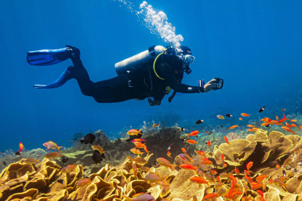 Take Your Smartphone Diving Under Water with DIVEROID | Man of Many