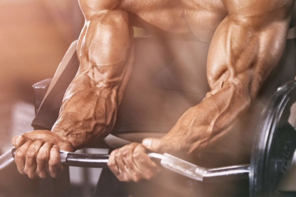 13 Best Forearm Workouts and Exercises | Man of Many