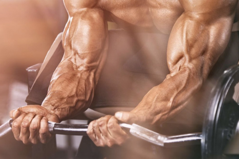 13 Best Forearm Workouts and Exercises | Man of Many