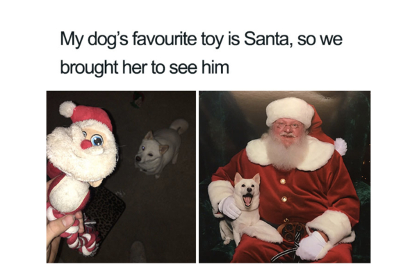 50+ Best Christmas Memes on the Internet | Man of Many