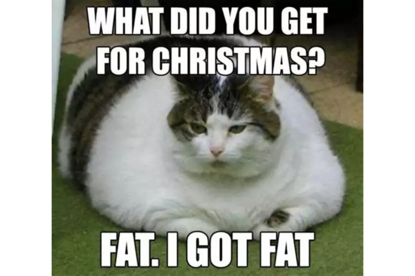 50+ Best Christmas Memes on the Internet | Man of Many