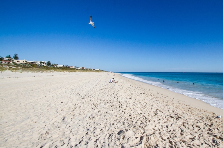 13 Best Perth Beaches to Visit This Summer | Man of Many