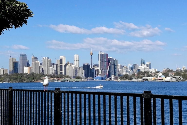 30 Best Views and Lookout Points in Sydney | Man of Many