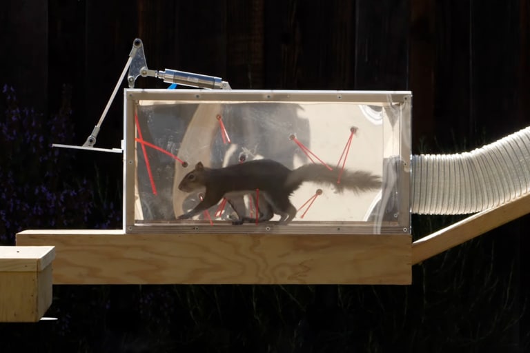 Former NASA Engineer's 'Mission Impossible' Squirrel Maze | Man of Many