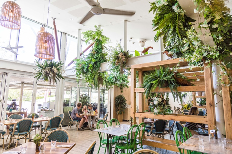 21 Best Sydney Plant Nurseries and Stores | Man of Many