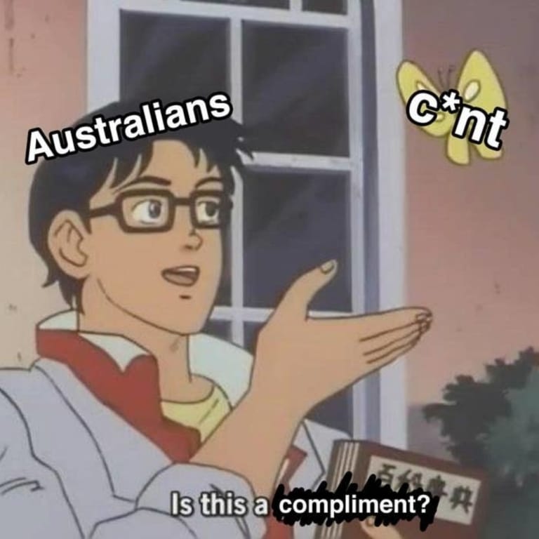 180+ Funny Australia Memes That are True Blue Gems | Man of Many