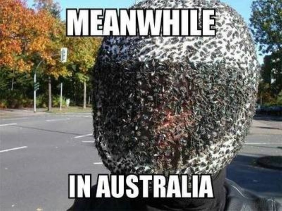 180+ Funny Australia Memes That are True Blue Gems | Man of Many