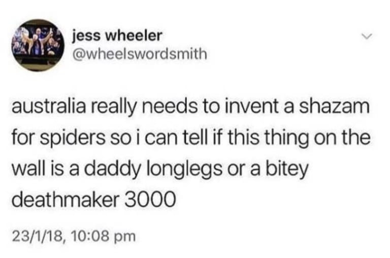 180+ Funny Australia Memes That are True Blue Gems | Man of Many