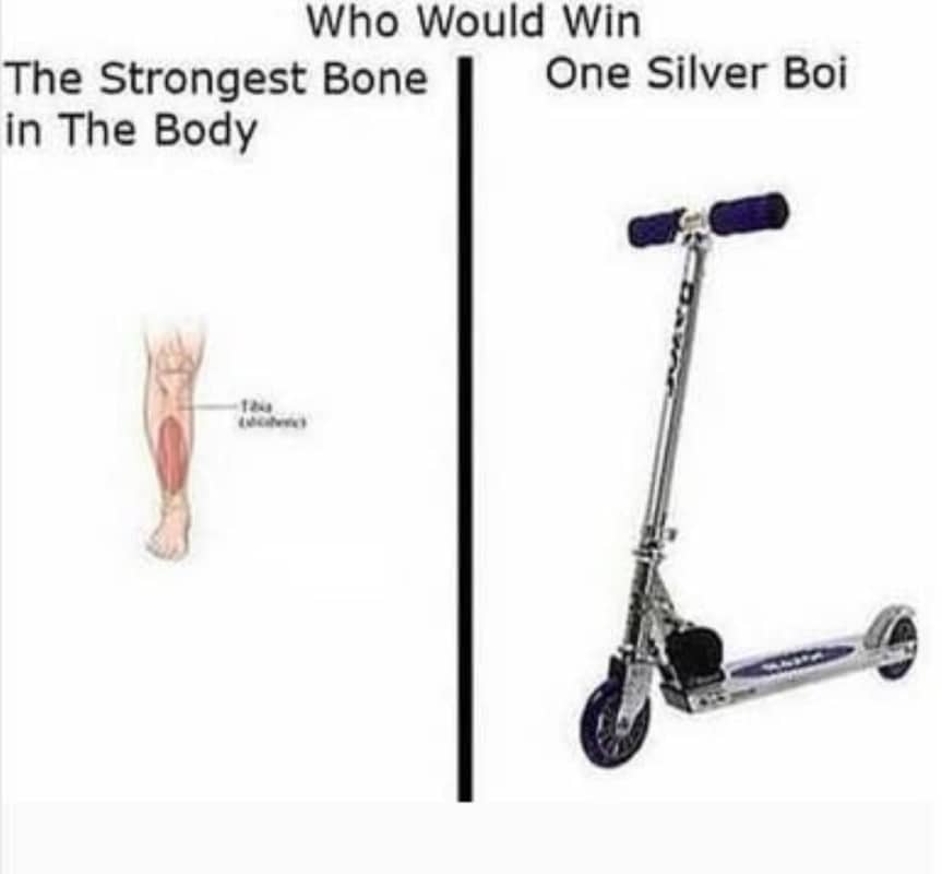 180+ Funny Australia Memes That are True Blue Gems | Man of Many