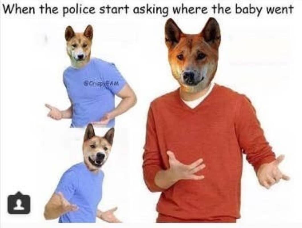 180+ Funny Australia Memes That are True Blue Gems | Man of Many