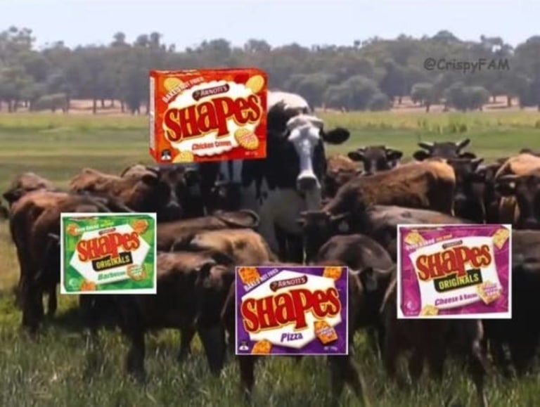 180+ Funny Australia Memes That are True Blue Gems | Man of Many