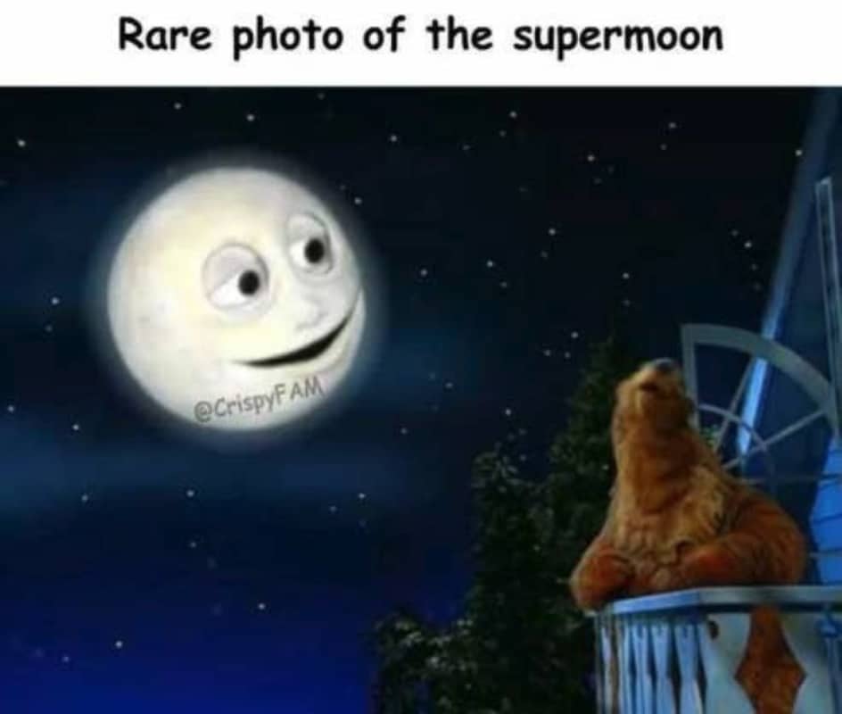 180+ Funny Australia Memes That are True Blue Gems | Man of Many