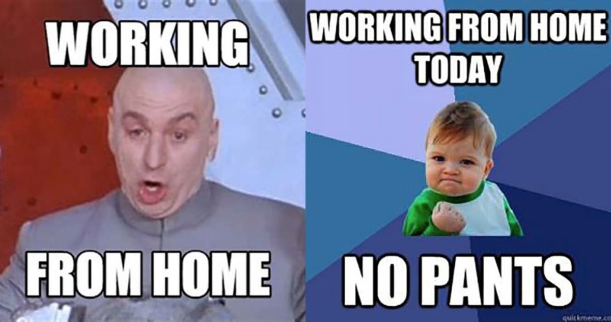 40+ Funny Working From Home Memes (WFH) | Man of Many