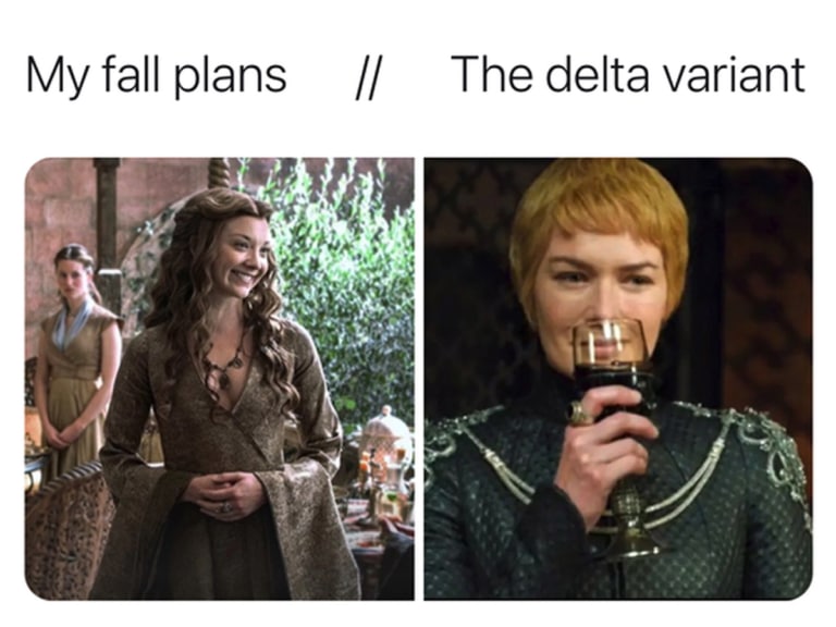 50+ Best My Fall Plans vs The Delta Variant Memes | Man of Many
