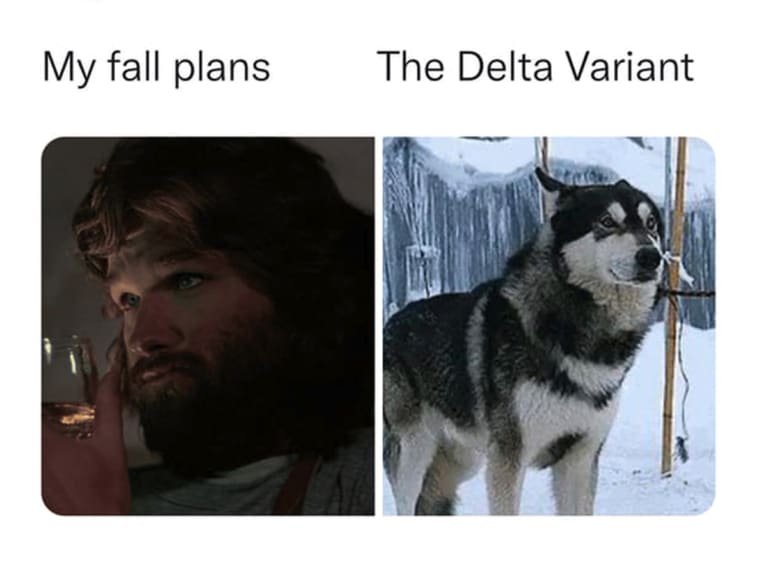 50+ Best My Fall Plans vs The Delta Variant Memes | Man of Many