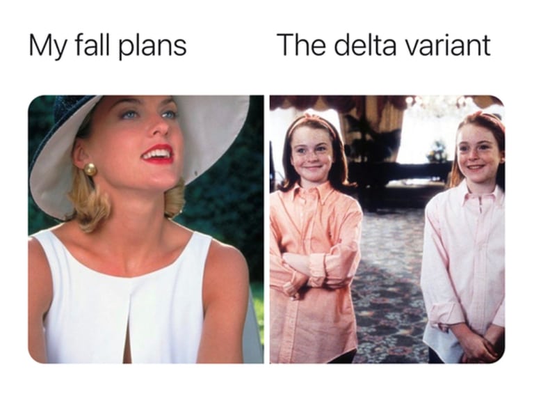50+ Best My Fall Plans vs The Delta Variant Memes | Man of Many