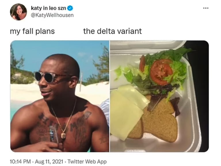 50+ Best My Fall Plans vs The Delta Variant Memes | Man of Many