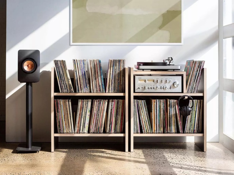 21 Vinyl Record Storage Solutions: Racks, Stands, Cabinets | Man of Many