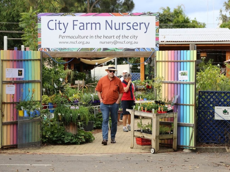 19 Best Brisbane Markets: A Complete Guide | Man of Many