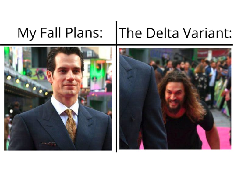 50+ Best My Fall Plans vs The Delta Variant Memes | Man of Many