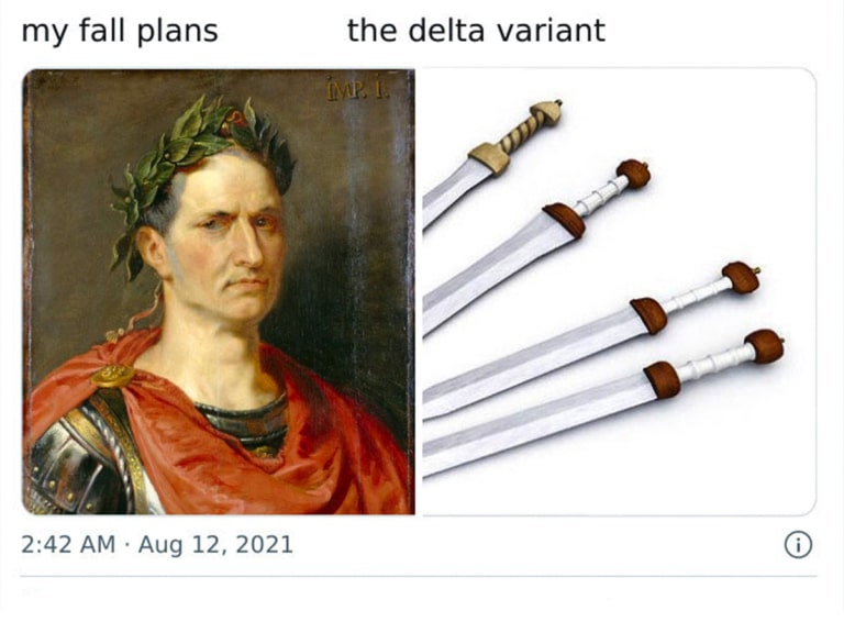 50+ Best My Fall Plans vs The Delta Variant Memes | Man of Many