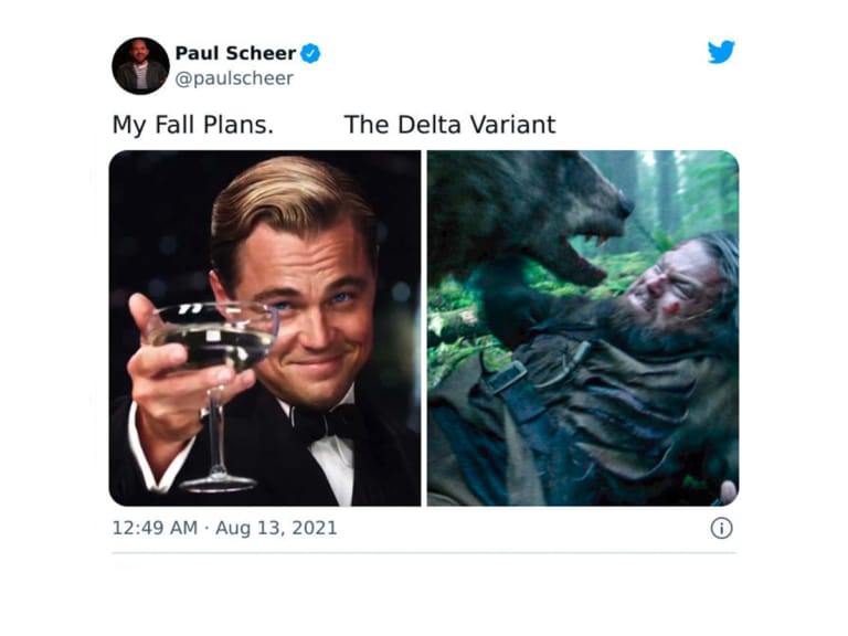 50+ Best My Fall Plans vs The Delta Variant Memes | Man of Many
