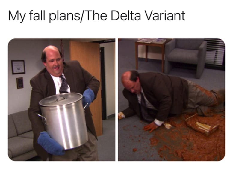 50+ Best My Fall Plans vs The Delta Variant Memes | Man of Many