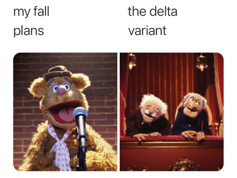 50+ Best My Fall Plans vs The Delta Variant Memes | Man of Many