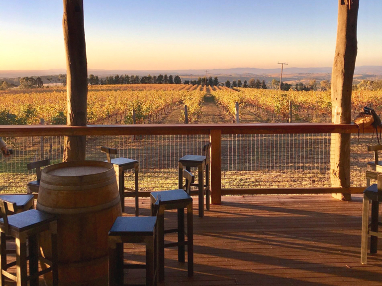 Beginner’s Guide to the Best Wineries in Orange NSW (2025) | Man of Many