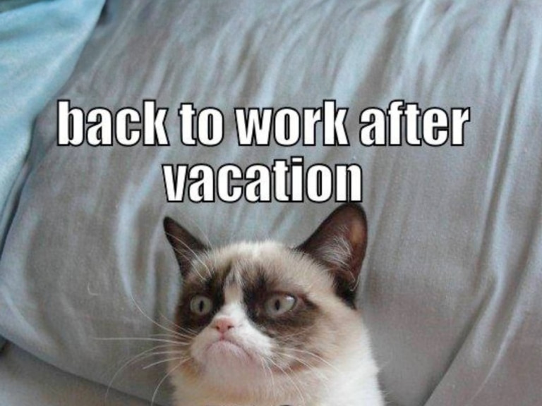 Best Back-to-Work Memes to Get You Circling Back in 2024 | Man of Many