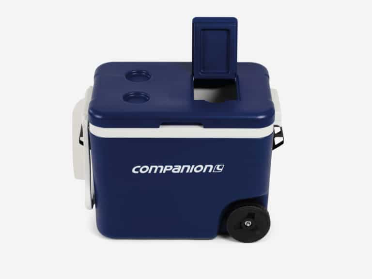 10 Best Esky Brands for Food and Drinks | Man of Many