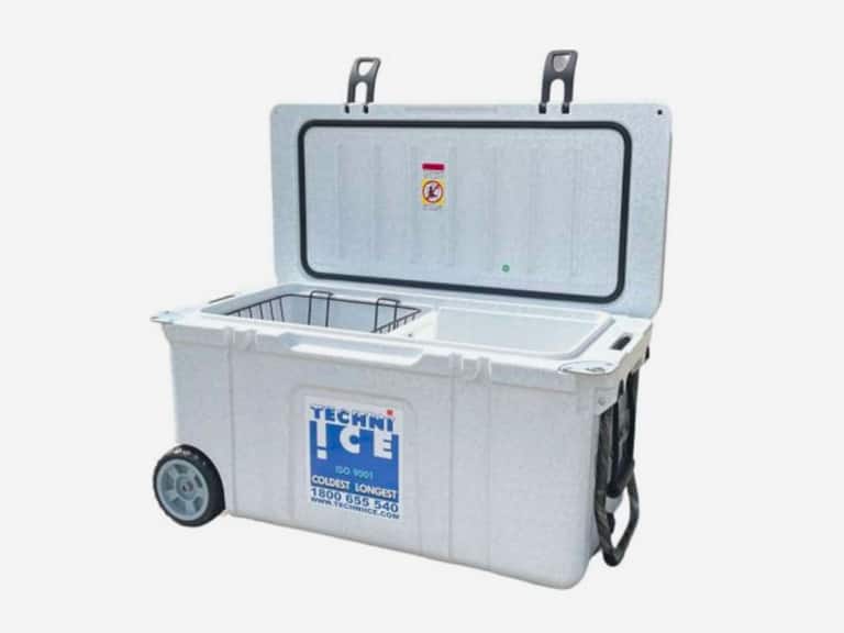 10 Best Esky Brands for Food and Drinks | Man of Many