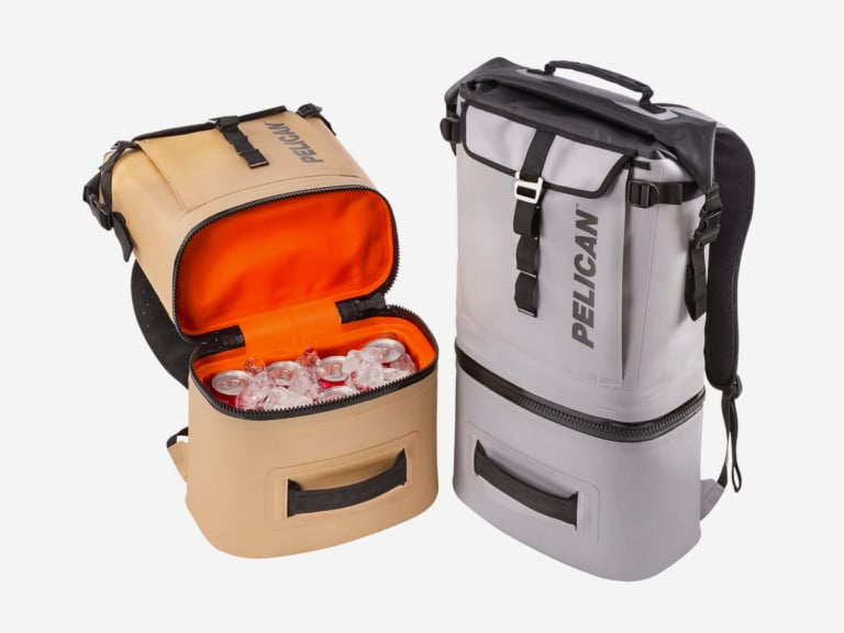 10 Best Esky Brands for Food and Drinks | Man of Many