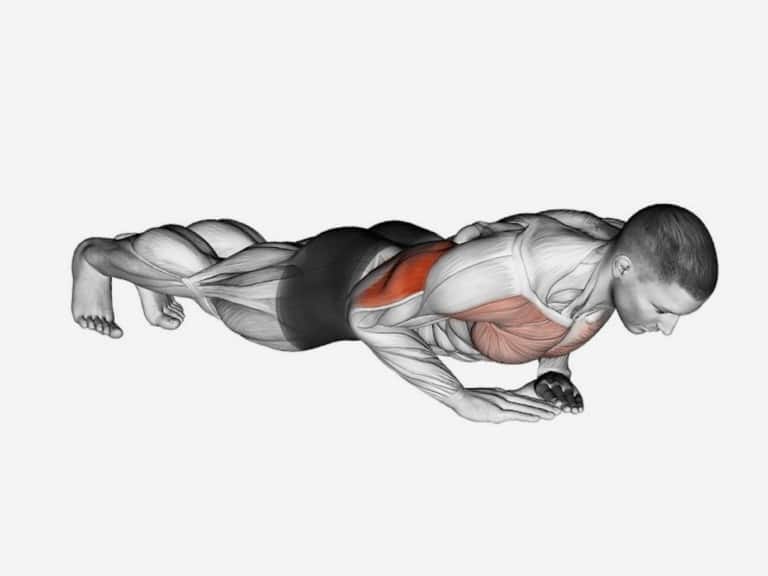 10 Best Tricep Exercises for Men | Man of Many