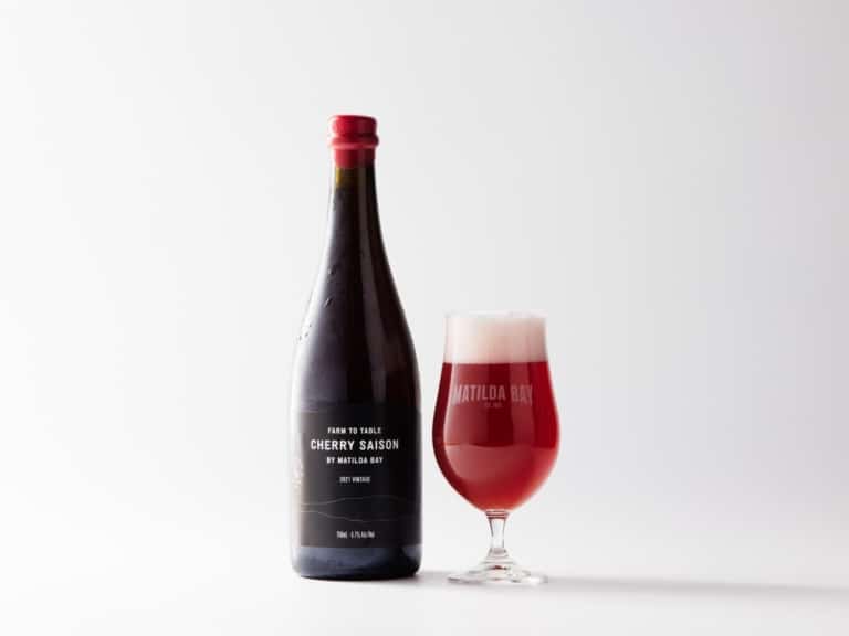 Most Popular Types of Beer Explained: A Complete Guide | Man of Many