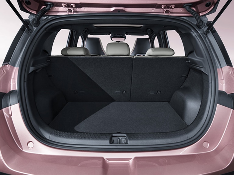 BYD Dolphin Makes a Splash as Australia's Cheapest EV | Man of Many