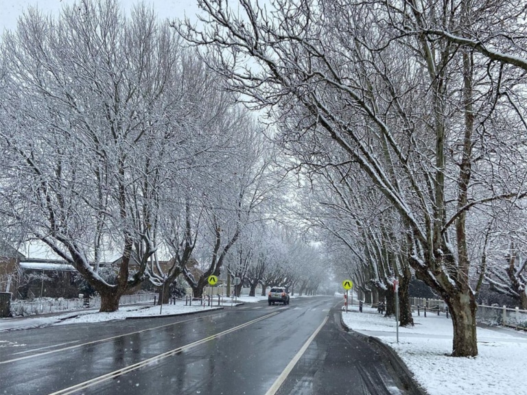8 Best Places to See Snow Near Sydney | Man of Many