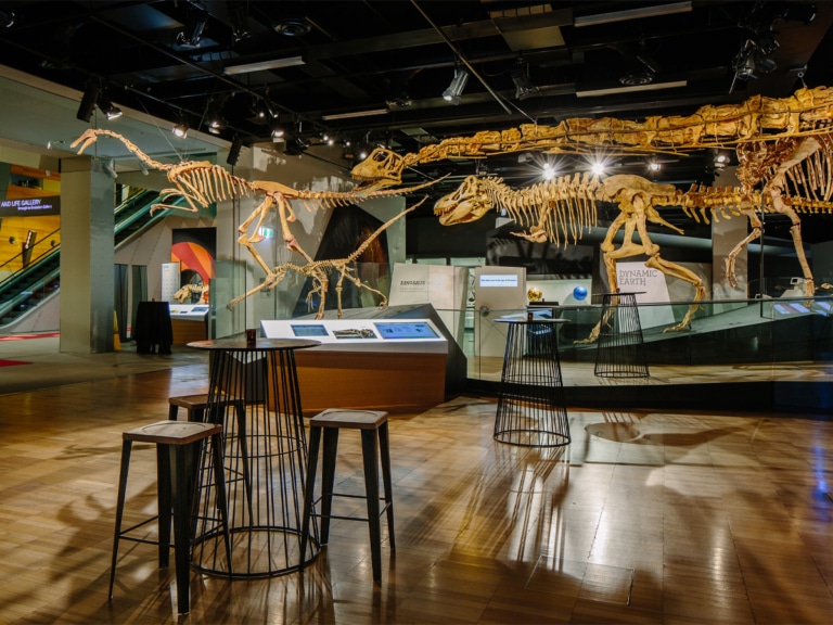 15 Best Museums in Melbourne | Man of Many