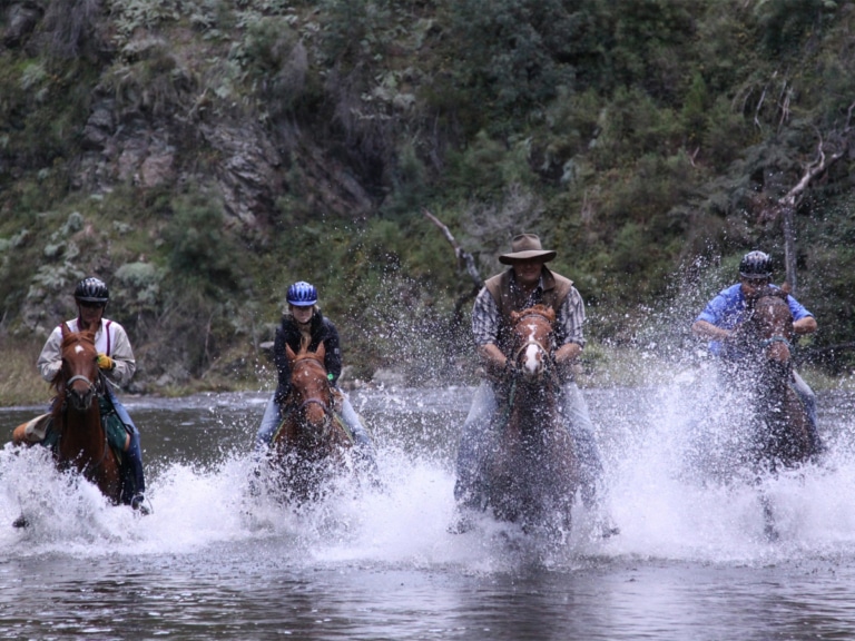5 Best Places to Go Horse Riding in Melbourne | Man of Many