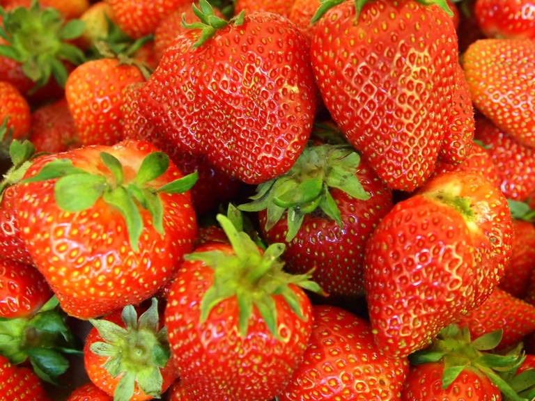 Trypophobia: What is it and is it Real? | Man of Many