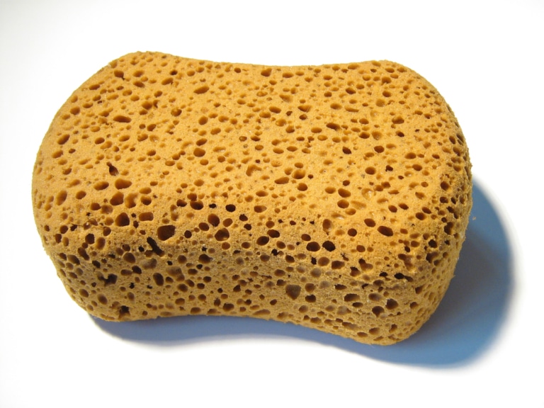 Trypophobia Explained: The Surprising Fear of Holes That Affects ...