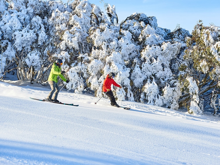 6 Best Australian Ski Resorts to Visit This Snow Season | Man of Many