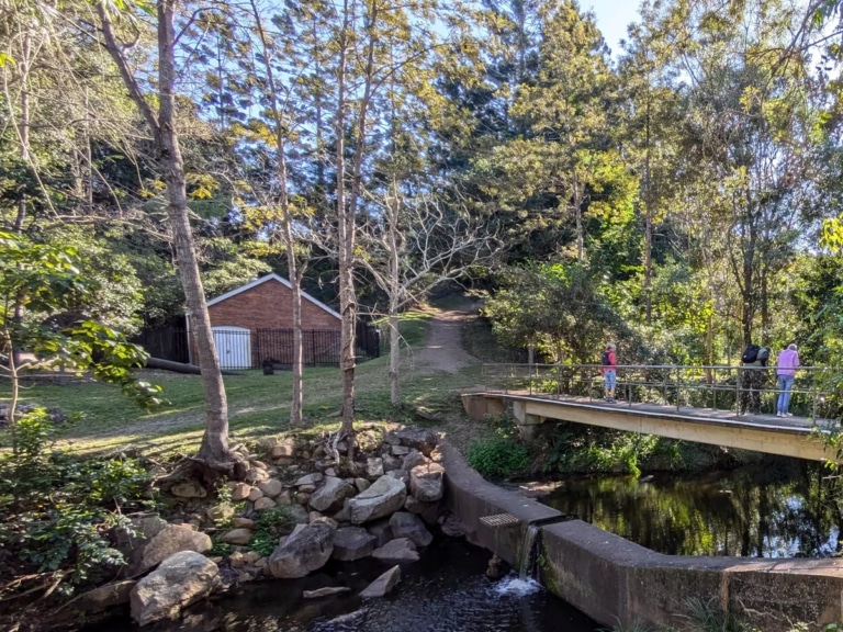16 Best Walking Tracks in Brisbane | Man of Many