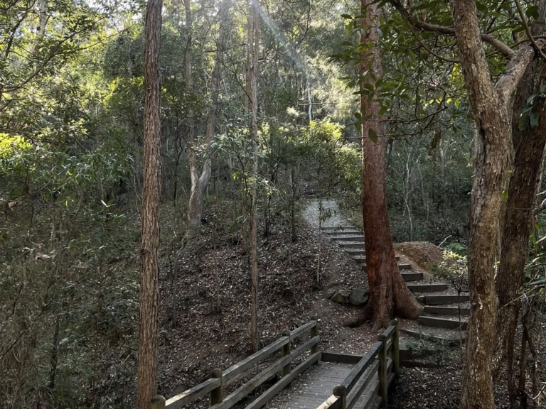16 Best Walking Tracks in Brisbane | Man of Many