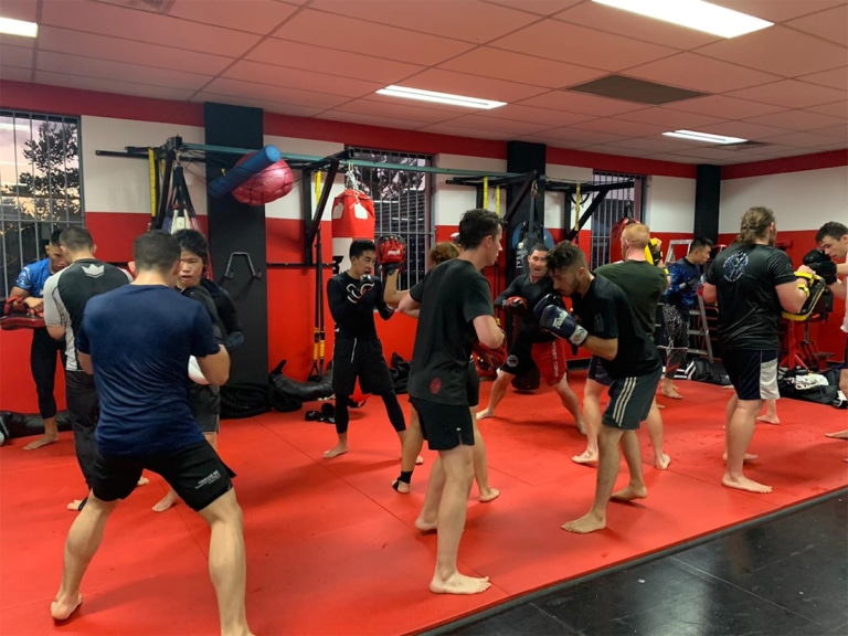 11 Best MMA Gyms in Sydney | Man of Many