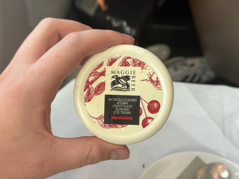 What Qantas' Non-Stop 17.5 Hour Perth to Paris (QF33) Flight is Really ...